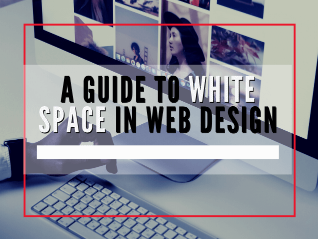 Rooche Digital Web Design and Development Company