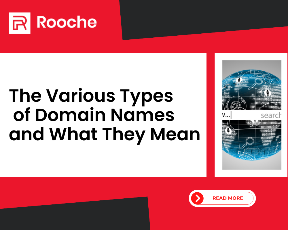 The Various Types Of Domain Names And What They Mean Rooche Digital